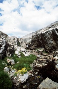 The Last Season - Eric Blehm